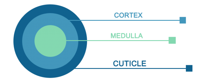 Remy Hair : The Definitive Guide (2022 Updated)